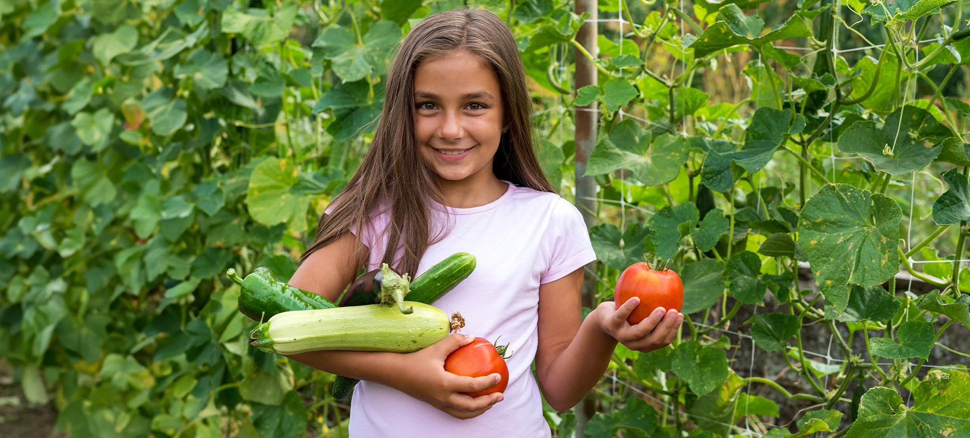 WIX Filters FFA Box Top Program