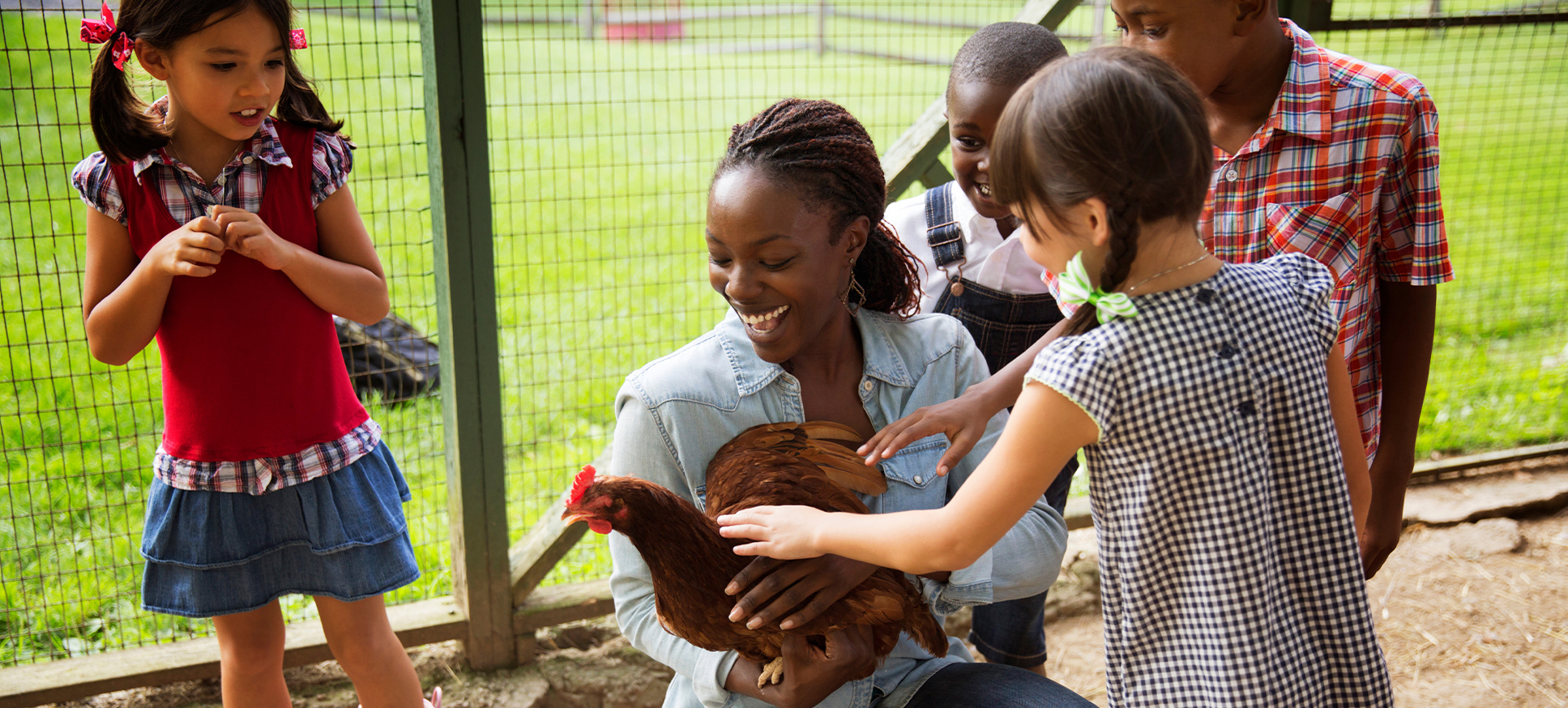 WIX Filters FFA Box Top Program